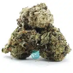 Lap Dance A - Indica - West Coast Releaf Online Dispensary Canada