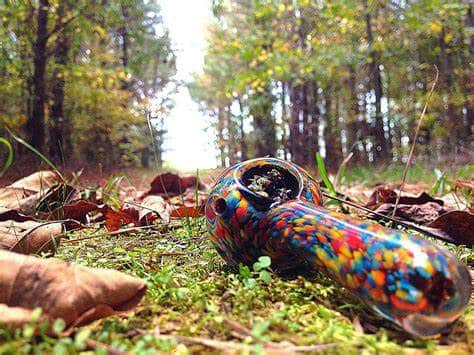 Using Cannabis While Camping - West Coast Releaf Dispensary