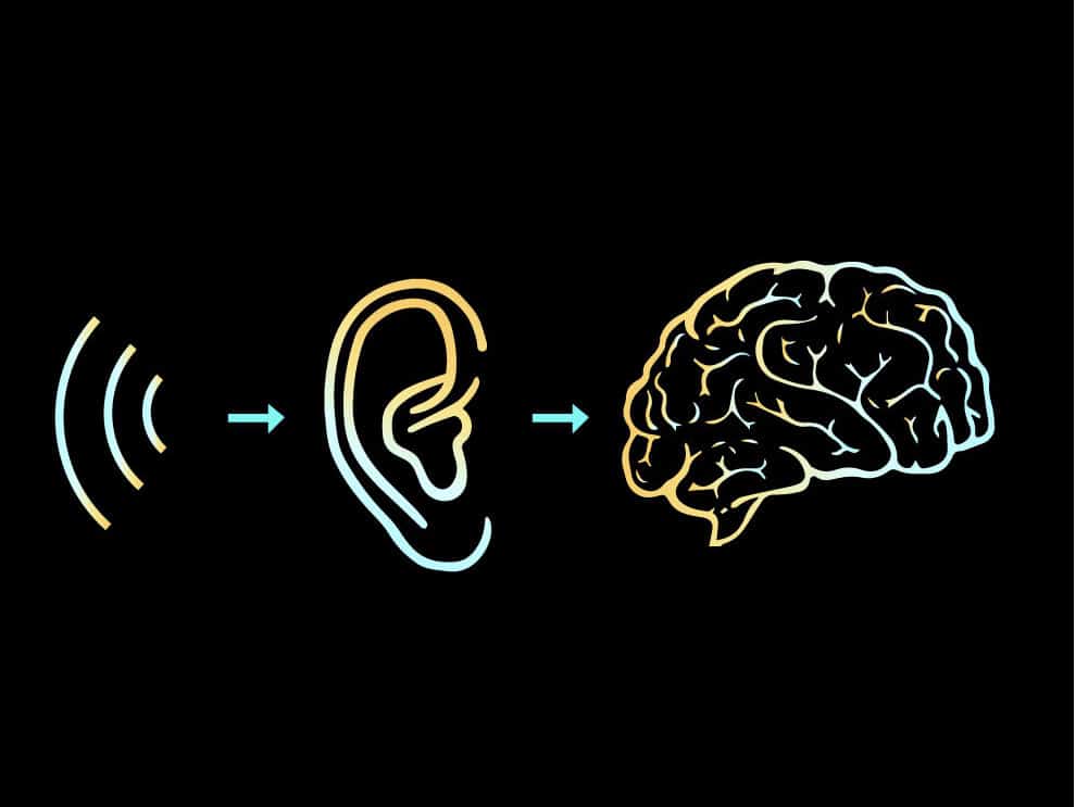 Weed & Auditory Memory - West Coast Releaf Online Dispensary