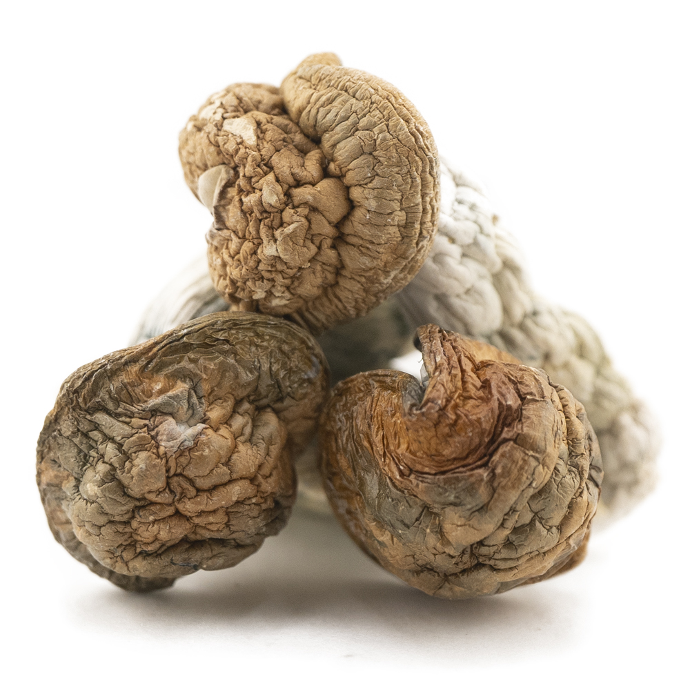 Wholesale - Shrooms - Penis Envy - West Coast Releaf Online Dispensary