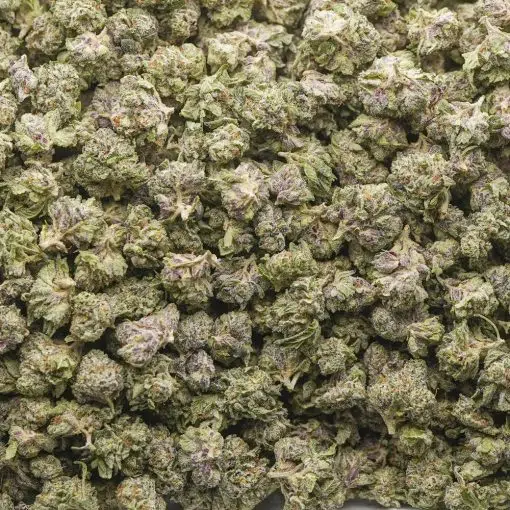 Blackberry Octane AAAA Popcorn - Indica - West Coast Releaf Online ...